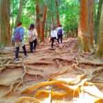 Kyoto: Kurama Temple and Mountain Legends Guided Hike - The Sum Up