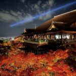 Kyoto & Nara: Full-Day Private Guided Tour with Hotel Pickup - Itinerary Breakdown and What You Can Expect