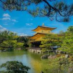 Kyoto/Nara: Must-see Spots in One Day Tour with Hotel Pickup - A Deep Dive into the Experience