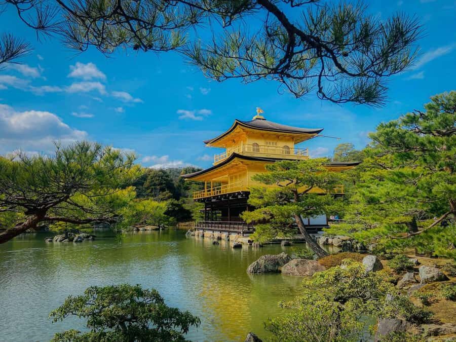 Kyoto/Nara: Must-see Spots in One Day Tour with Hotel Pickup - A Deep Dive into the Experience