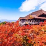 Kyoto Nara Private Car Tour with a Local English Guide and Driver - Detailed Breakdown of the Tour Experience