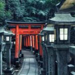 Kyoto & Nara: Private Day Customized Tour in Luxury Vehicle - What It Means for Travelers