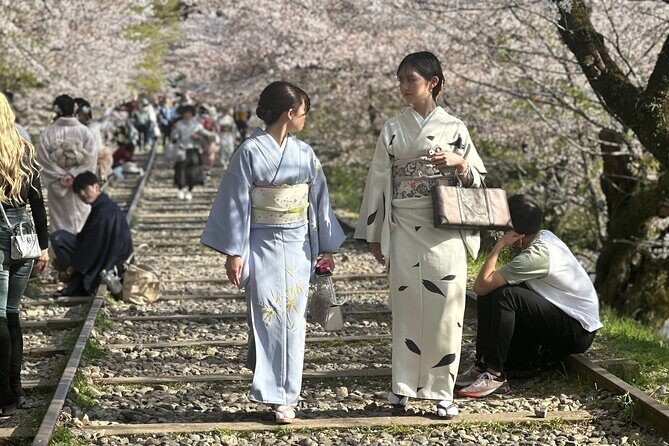 Kyoto-Nara Private Sightseeing Cherry Blossoms Tour With Pick Up - What the Tour Includes and What It Doesn’t