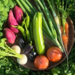 Kyoto: Organic Farm Experience with Vegetable Souvenir - Comparing to Other Experiences