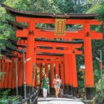 Kyoto/Osaka: Kyoto and Nara Customized Private Guided Tour - What Makes This Tour Stand Out?