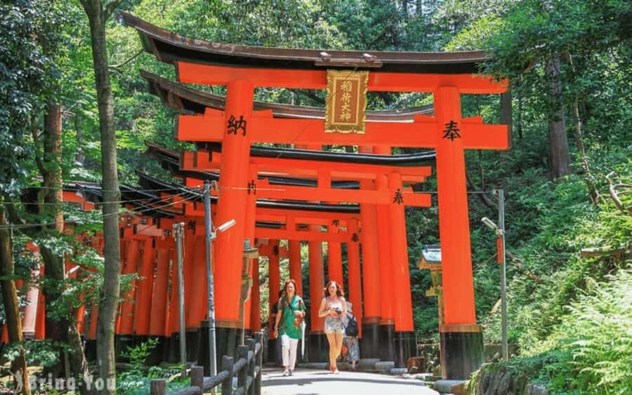 Kyoto/Osaka: Kyoto and Nara Customized Private Guided Tour - What Makes This Tour Stand Out?