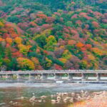 Kyoto/Osaka: Nijo Castle, Arashiyama, Kinkakuji Day Tour - Practical Details and Value