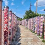 Kyoto Panoramic Day Tour Fushimi Inari Arashiyama and Temples - The Practical Side: Cost, Timing, and Group Dynamics