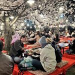 Kyoto Private Car City Tour - FAQs