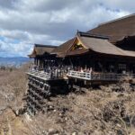 Kyoto Private Car Tour from Osaka to Gion and Fushimi - Analyzing the Cost and Value