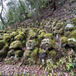 Kyoto: Private Car Tour With a Local Resident Conductor - What to Expect from Your Day in Kyoto