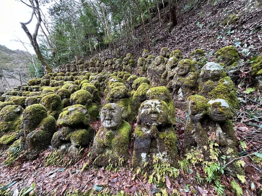 Kyoto: Private Car Tour With a Local Resident Conductor - What to Expect from Your Day in Kyoto