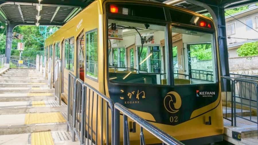 Kyoto: Private charter tour (Bamboo Trail, Suzumushi Temple) - The Value of a Private, Customizable Experience