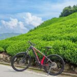Kyoto: Private Countryside E-Bike Tour with Lunch and Tea - Why the Tour Offers Great Value