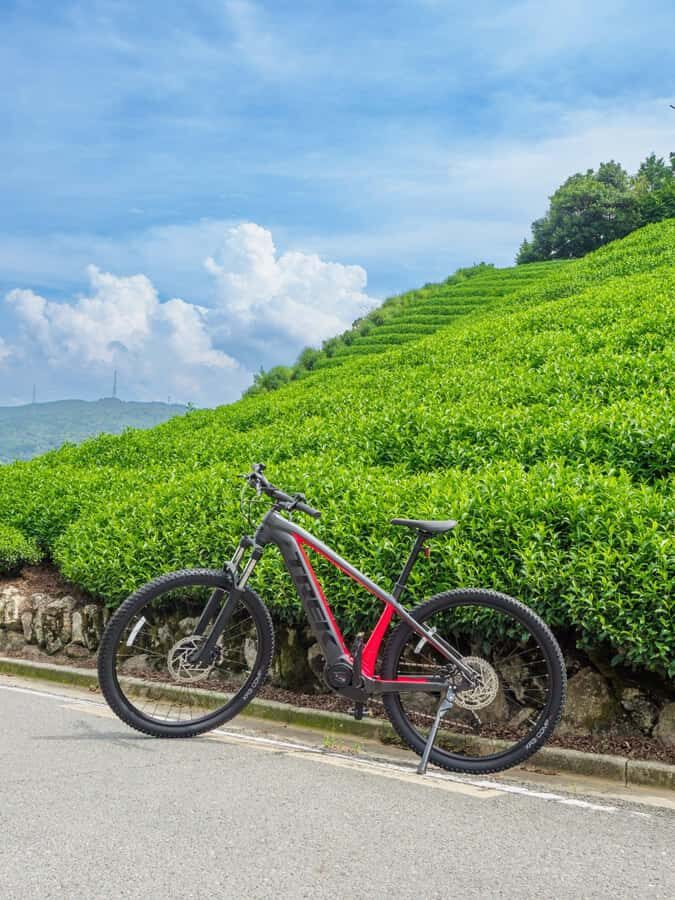 Kyoto: Private Countryside E-Bike Tour with Lunch and Tea - Why the Tour Offers Great Value