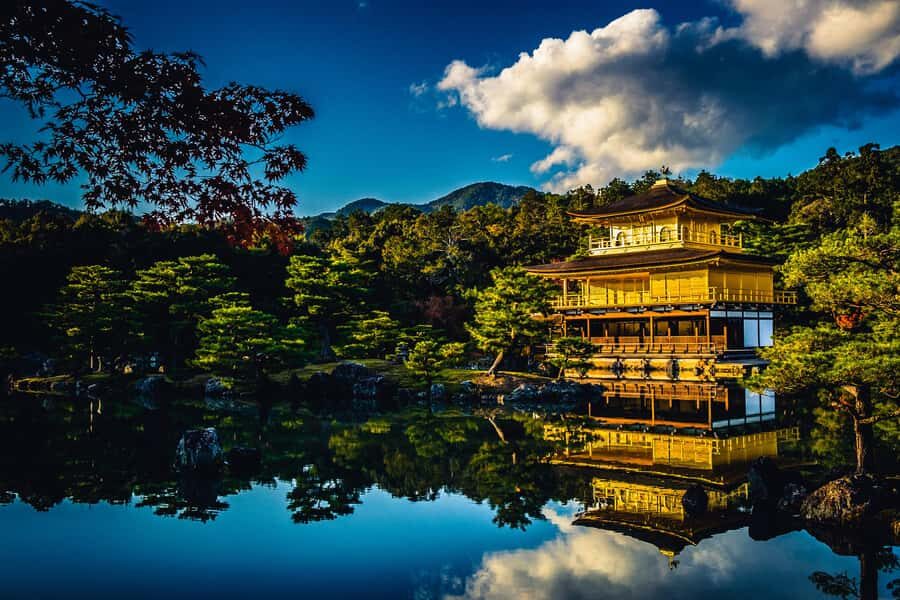 Kyoto: Private Customized Day Tour with Driver and Vehicle - What to Expect from the Itinerary