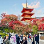 Kyoto Private Day Tour with Luxury Vehicle & English Guide - The Itinerary in Detail