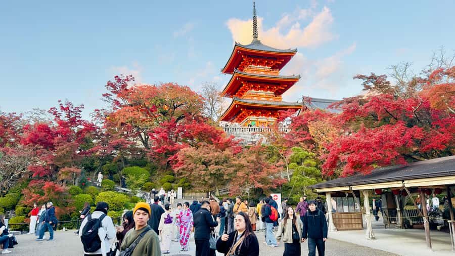 Kyoto Private Day Tour with Luxury Vehicle & English Guide - The Itinerary in Detail