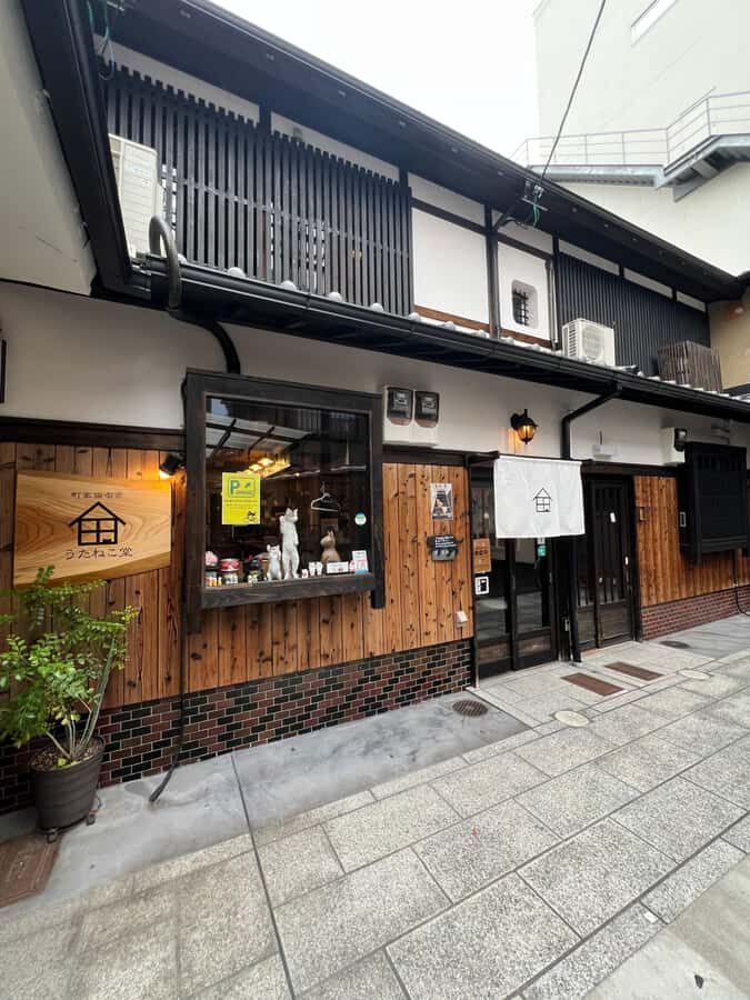 Kyoto: Private/GroupEthical Cat Sanctuary & Tea Ceremony - Why This Experience Likely Fits Certain Travelers Best