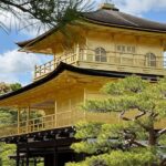 Kyoto Private Tour from Tokyo by Bullet Train | One-Way - The Itinerary in Detail