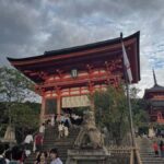 Kyoto: Private Tour with Nara included and English Driver - Exploring Kyoto: Temples, Streets, and Scenic Spots