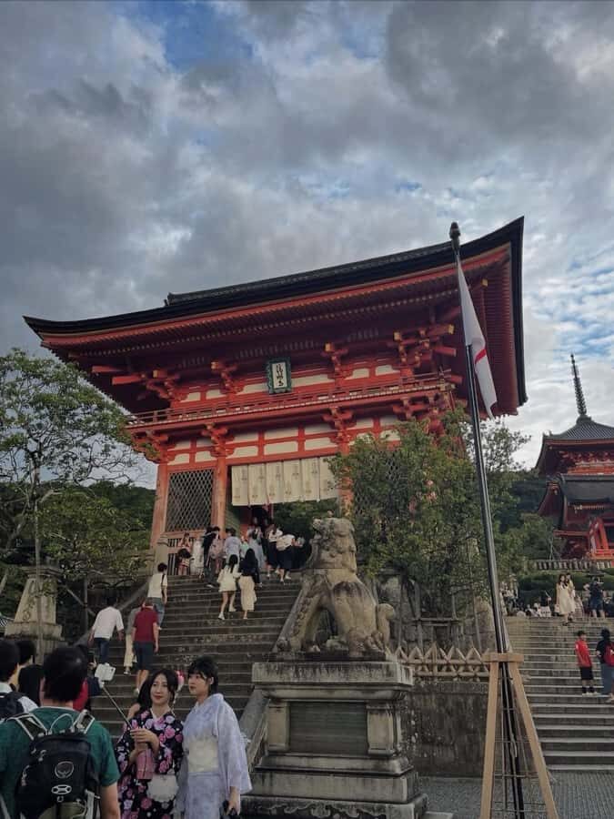Kyoto: Private Tour with Nara included and English Driver - Exploring Kyoto: Temples, Streets, and Scenic Spots