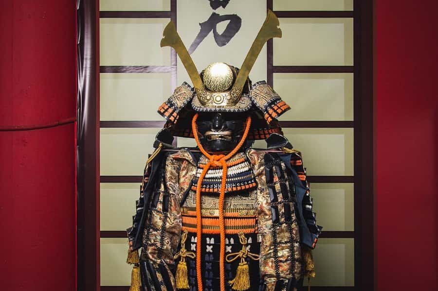 Kyoto: Roots of the Samurai 1-Day Cultural Tour - What to Expect from the Experience