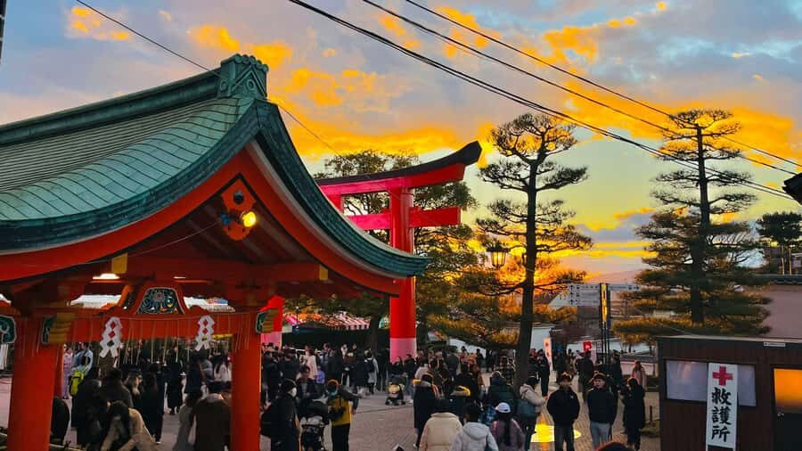 Kyoto Sakura Experience English Full Day Sightseeing Tour - What Reviewers Say