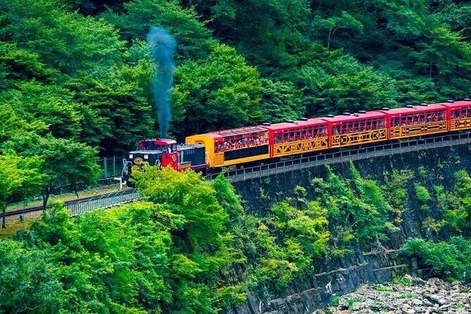 Kyoto Sansen-in Arashiyama Train 1 Day Tour from Osaka or Kyoto - The Value and Practicalities