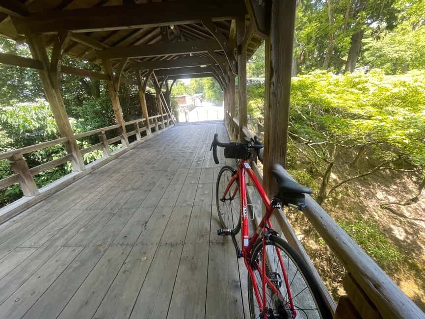 Kyoto: Scenic Riverside Ride in East Kyoto - The Overall Value and Who It’s Best For