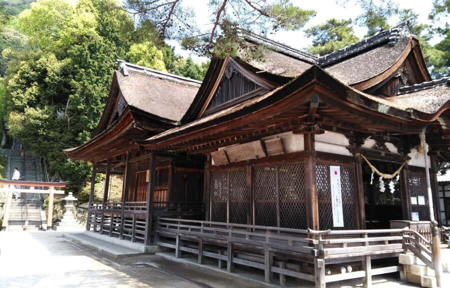 Kyoto Shiga Highlights Day Tour Miho Museum&Shirahige Shrine - Practical Considerations & Tips