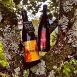 Kyoto: Takeno Sake Brewery Tour with Tasting - Who Will Love This Tour?