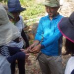 Kyoto: Tango Sea and Forests 2-Day Study Tour - The First Day: Exploring Forests and the Sea