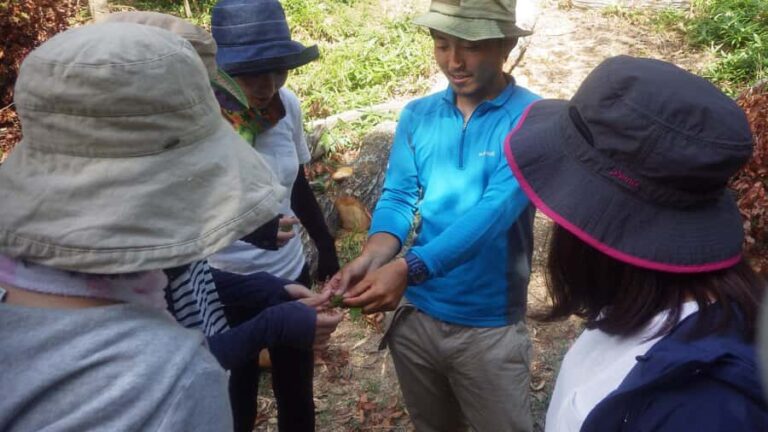 Kyoto: Tango Sea and Forests 2-Day Study Tour - The First Day: Exploring Forests and the Sea