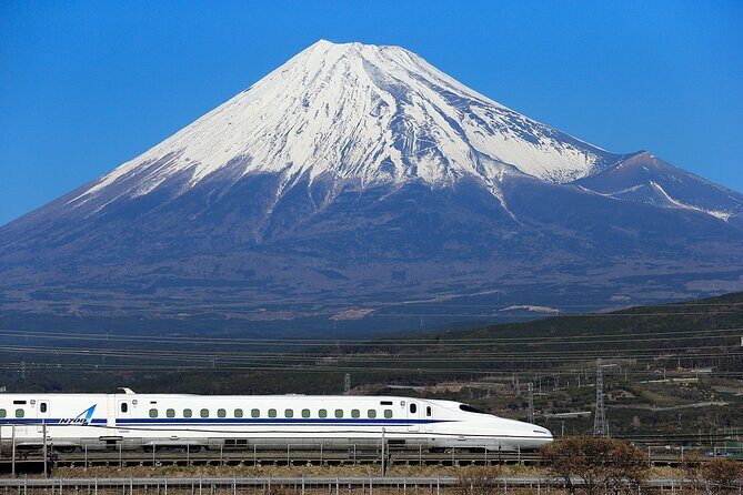 Kyoto to Tokyo Bullet Train Trip with Tokyo Subway 24 hour Ticket - The Value of This Journey