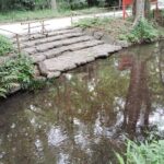 Kyoto: Walk Through History in Shimogamos Sacred Woods - The Value of Guided Storytelling