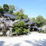 Kyoto: Zen & Culture Photo Walk with Tea - Tea Break and Cultural Reflection