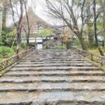 Kyoto: "Zen Moments Kyoto Temple Reflections" Tour - Final Thoughts