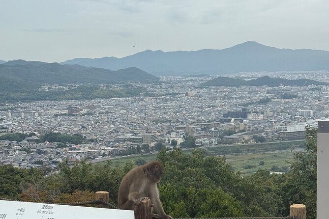 Kyoto&Nara Day Tour | English Guide & Private Vehicle - What It Feels Like: The Experience on the Ground