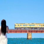 Kyotos Coastal Day Tour With Sea-Side Sightseeing Train - What Makes This Tour Special