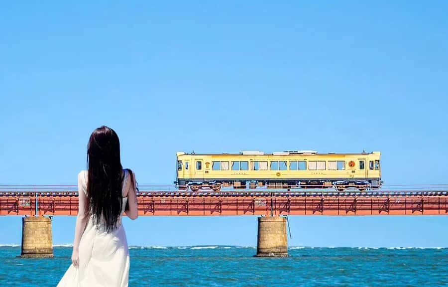 Kyotos Coastal Day Tour With Sea-Side Sightseeing Train - What Makes This Tour Special