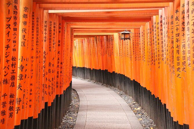 Kyoto's Top City Highlights: 2-Day Private Tour Experience - Authentic Insights from Past Travelers