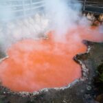 Kyushu Natural Adventure Day Tour: Zoo, Onsen & Hellscape - A Day in Kyushu: What to Expect