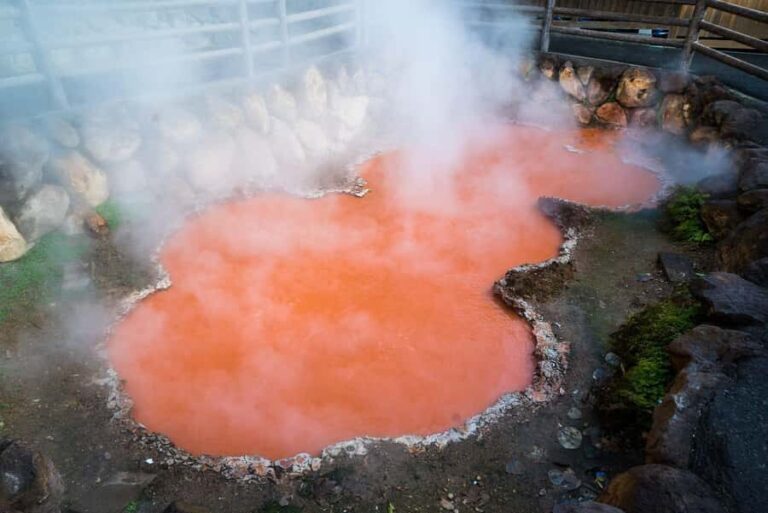 Kyushu Natural Adventure Day Tour: Zoo, Onsen & Hellscape - A Day in Kyushu: What to Expect