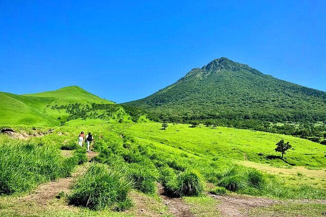 Kyushu Natural Animal Park African Safari Day Tour - Who Will Love This Tour?