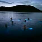 La Parguera Bio Bay Boat Ride and Swimming w/ San Juan Transport - Final Thoughts on Value and Experience