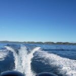 La Parguera Private Boat Charter - An In-Depth Look at the Experience