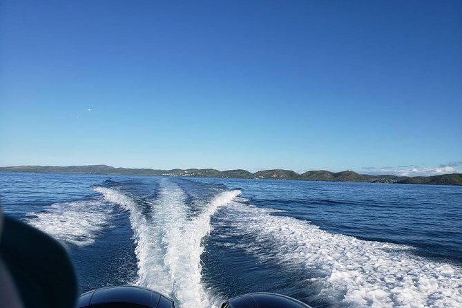 La Parguera Private Boat Charter - An In-Depth Look at the Experience