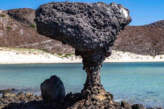 La Paz City Tour from Cabo - Transportation & Group Size