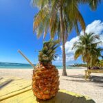 La Romana: Saona Island Boat Tour with Lunch - Who Will Enjoy This Tour?